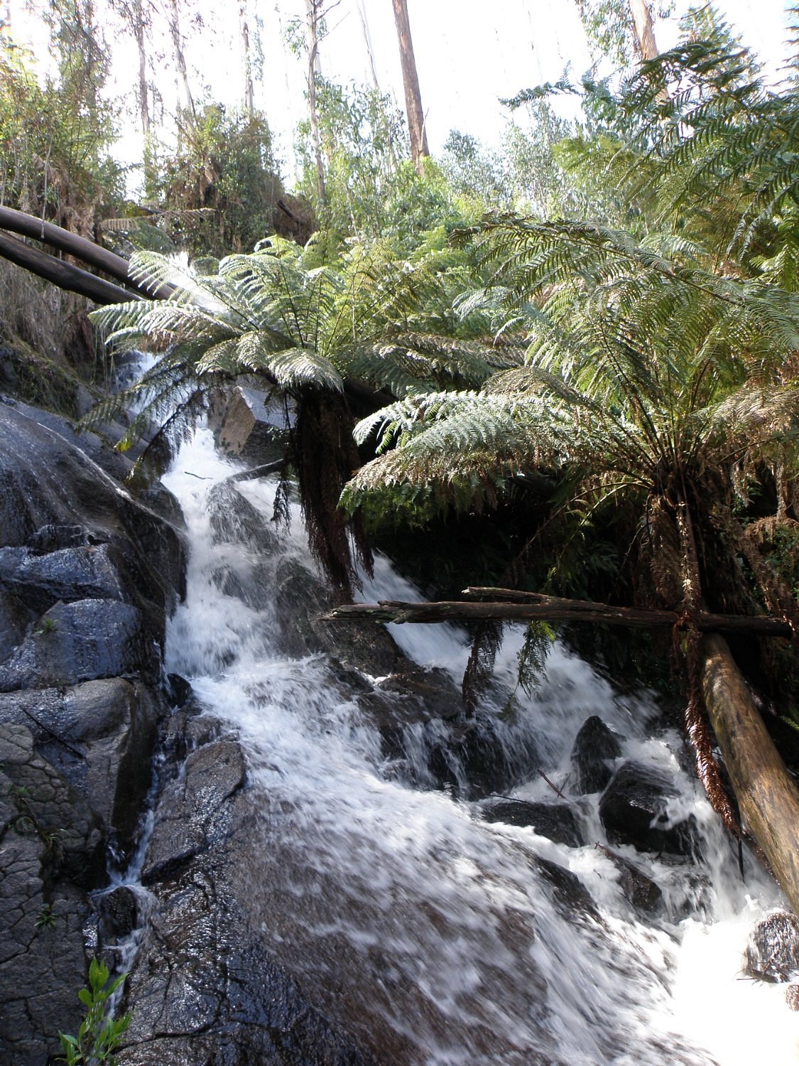 Phantom Falls & Keppel Falls on Lady Talbot Drive – Yarra Ranges ...