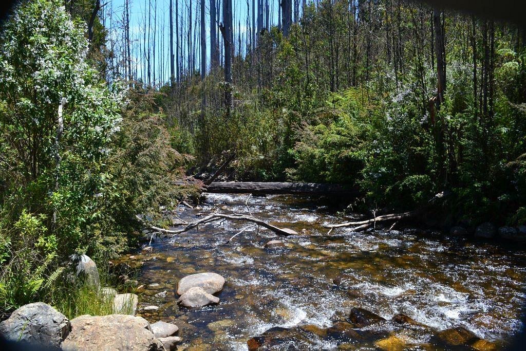 Phantom Falls & Keppel Falls on Lady Talbot Drive – Yarra Ranges ...